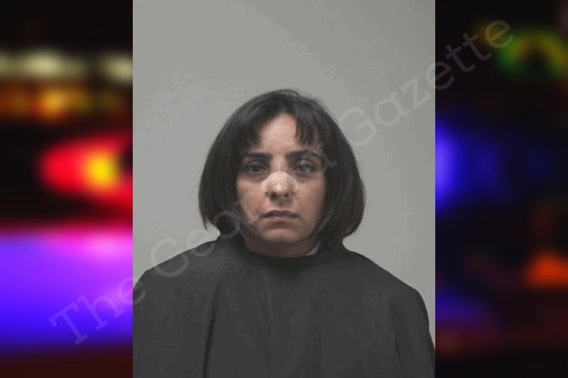 Alicia Solorio — Coweta County Jail Bookings