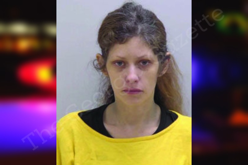 Dina Spencer — Bartow County Jail Bookings