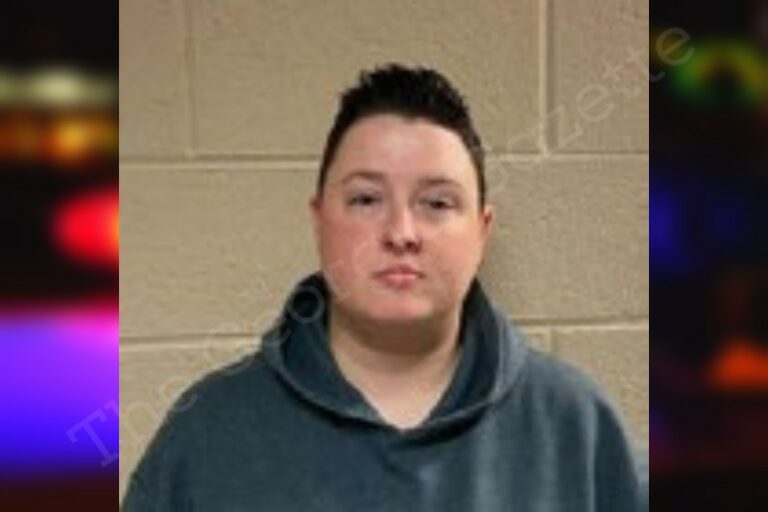 Emily Taylor — Henry County Jail Bookings