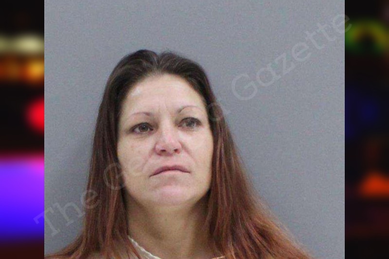 Amanda Toneges — Rabun County Jail Bookings
