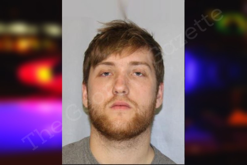 Dylan Travis — Hall County Jail Bookings