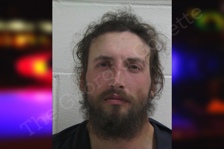 Joshua Twiss | Decatur County Jail Bookings