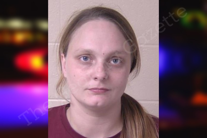 Jessica Thacker — Walker County Jail Bookings
