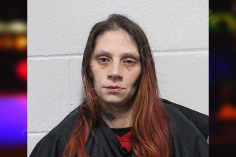 Jennifer Waid — Habersham County Jail Bookings