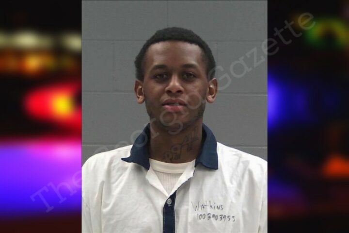 Talik Watkins Baldwin County Jail Bookings