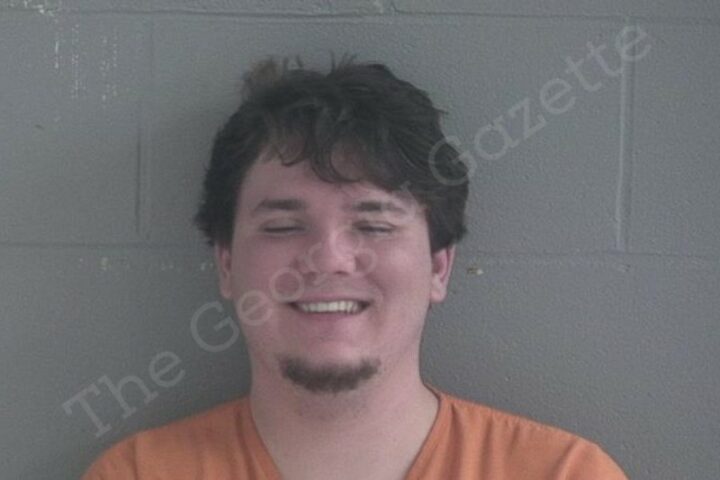 David Whetsell — Brantley County Jail Bookings