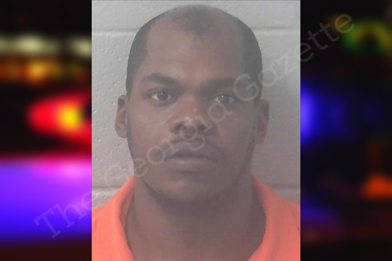 Sean White - Newton County Jail Bookings