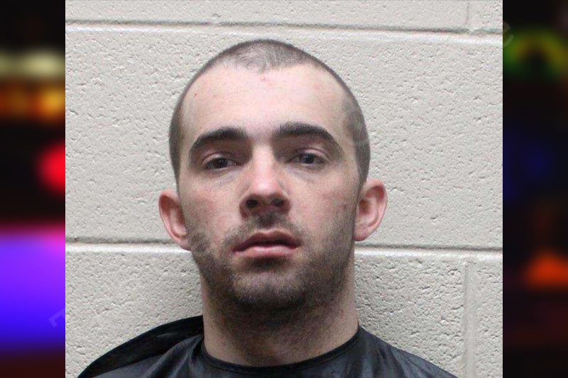 David Wigley — Haralson County Jail Bookings