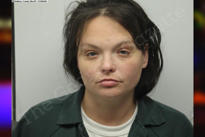 Ashley Waters — Chatham County Jail Bookings