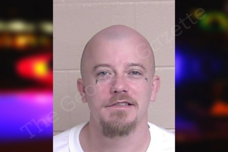 James Webb — Walker County Jail Bookings