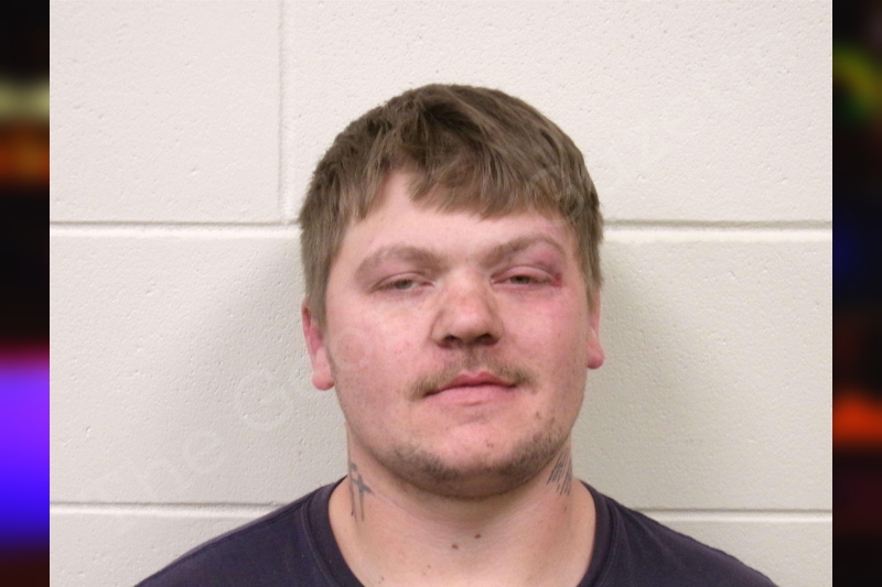 Tyler Wentzel — Bulloch County Jail Bookings