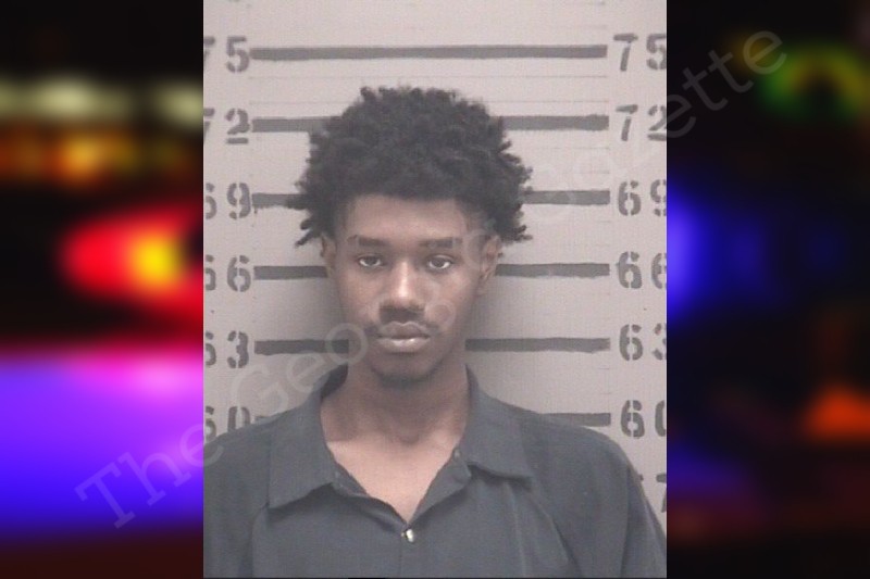 Reginald Wilson — Dougherty County Jail Bookings