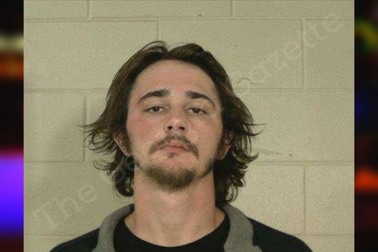 Logan Yaccarino — Liberty County