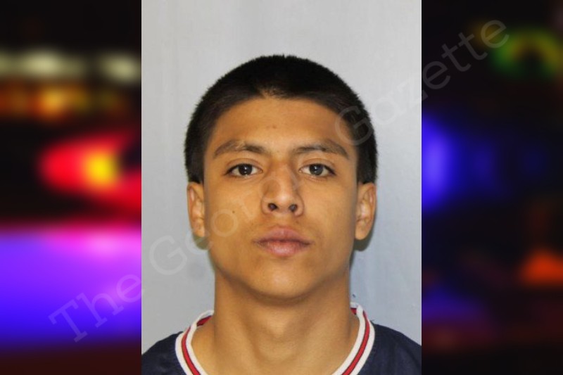 Dixon Adriano-Contreras — Hall County Jail Bookings