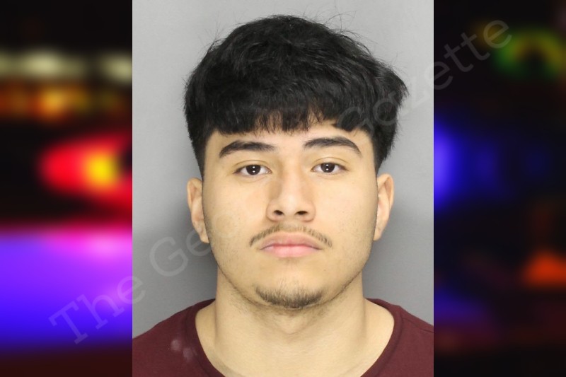 Bryan Alvarez — Cobb County Jail Bookings