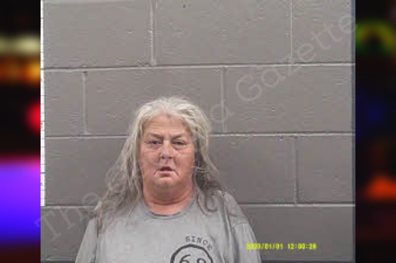 Amanda Whitlock — Banks County Jail Bookings