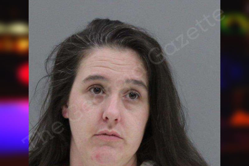Samantha Baxley — Rabun County Jail Bookings