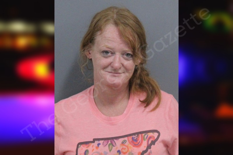 Julia Brodie — Catoosa County Jail Bookings