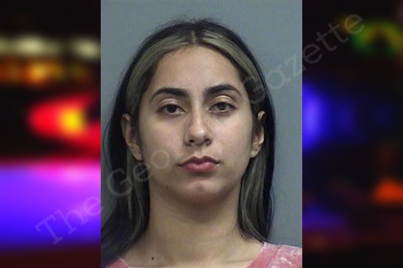Alanie Beltran-Rivera — Effingham County Jail Bookings