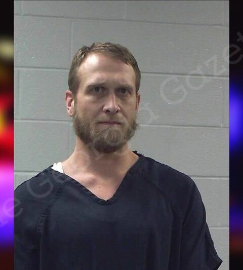 Gilmer County Jail Bookings – Page 2 – The Georgia Gazette