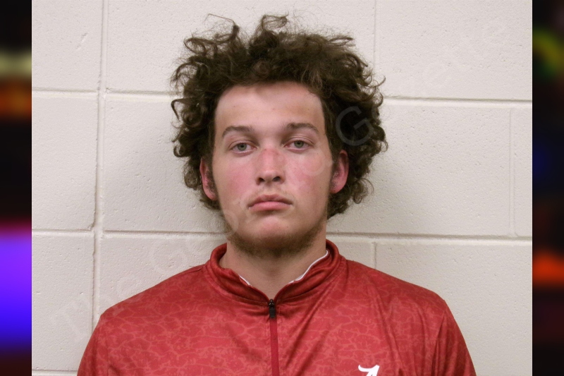 Robert Braun — Bulloch County