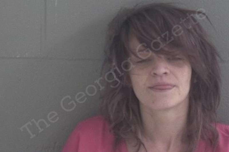 Michelle Casey — Brantley County