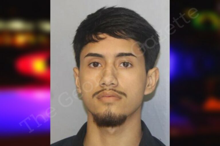 Diego Castillo — Hall County Jail Bookings