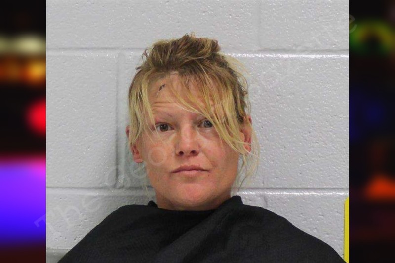Chanda Cattadoris — Carroll County Jail Bookings