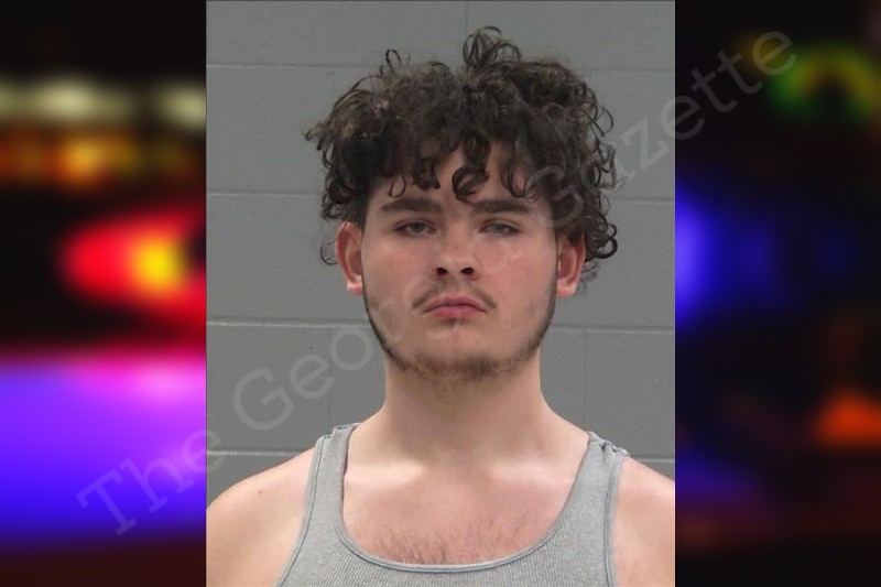 Jacob Chambers — Baldwin County Jail Bookings