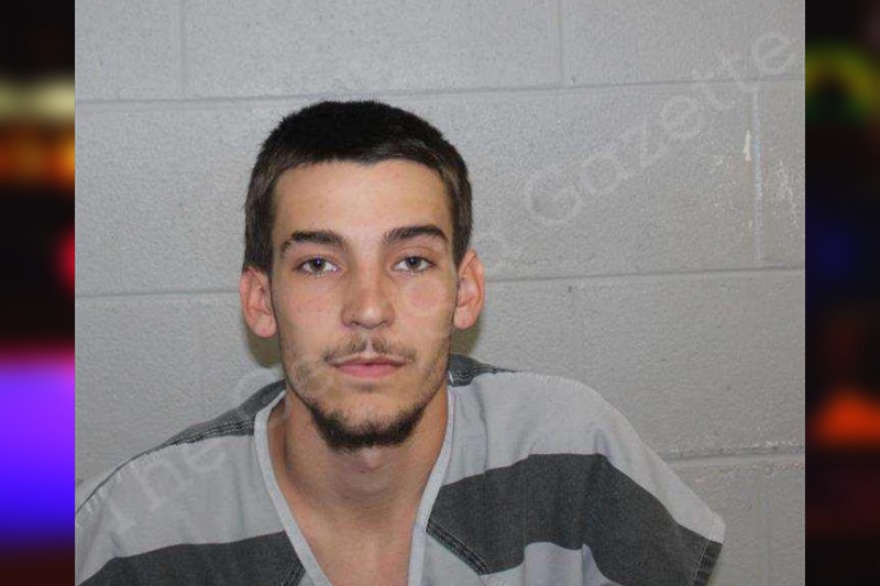 Carson Coates — Harris County Jail Bookings