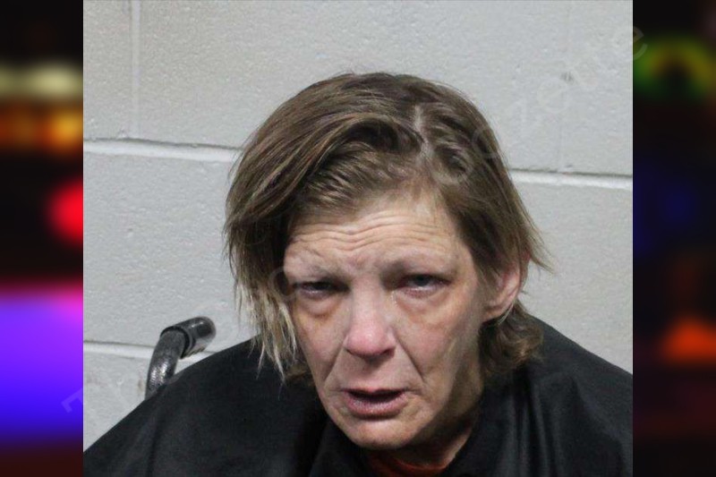 Michelle Conner — Habersham County Jail Bookings