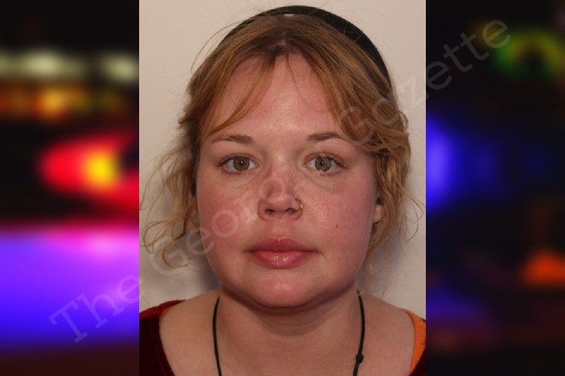 Megan Cook — Henry County Jail Bookings