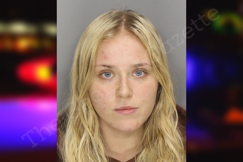 Chloe Crabb — Cobb County Jail Bookings