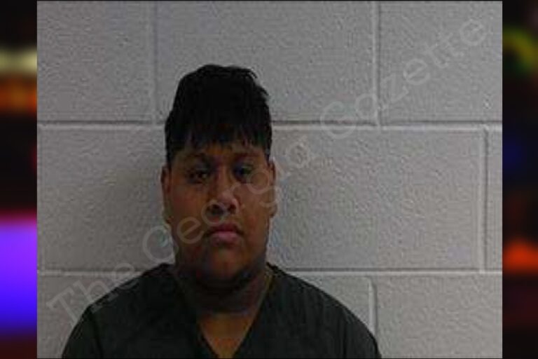 Maiko Castro-Mendez | Polk County Jail Bookings