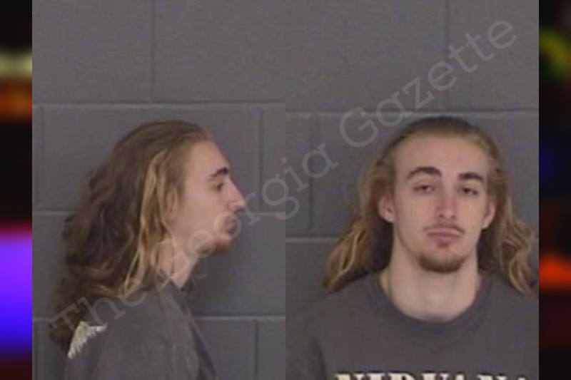 Maddox Clark — Barrow County Jail Bookings
