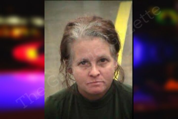 April Collins | Heard County Jail Bookings
