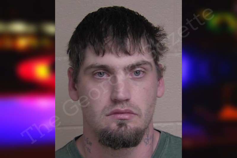 Brian Collins — Walker County Jail Bookings