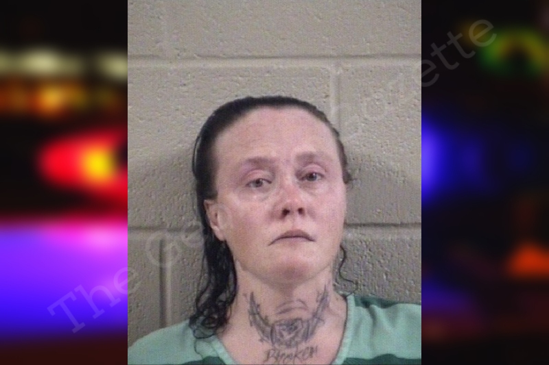 Amber Cummings — Whitfield County Jail Bookings