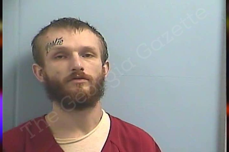 Austin Cunningham — Dawson County Jail Bookings