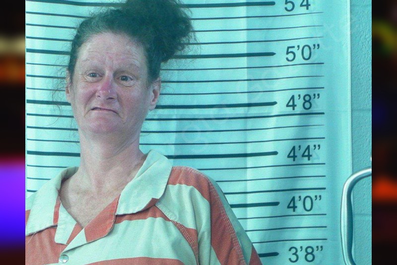 Tonya Deal — Stephens County Jail Bookings