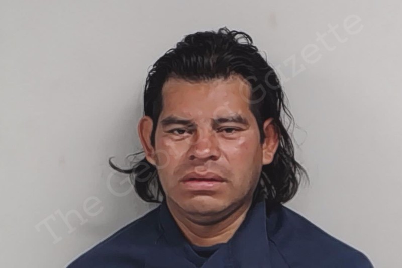 Rogelio Diaz — Lowndes County Jail Bookings