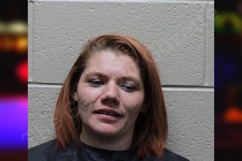 Stephanie Dukes | Haralson County Jail Bookings