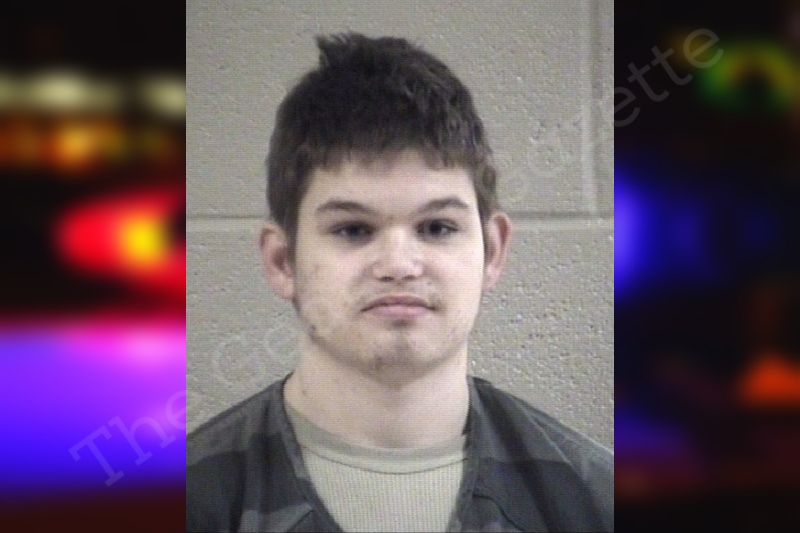 Walker Daniell — Whitfield County Jail Bookings
