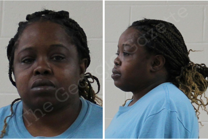 Melissa Dawson — Houston County Jail Bookings