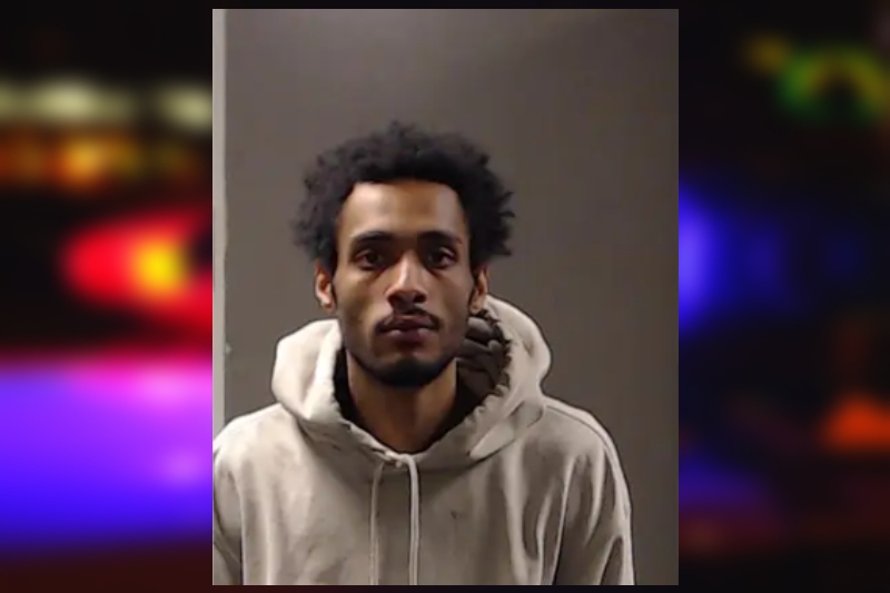 Man arrested for shooting grandmother in chest during argument ...