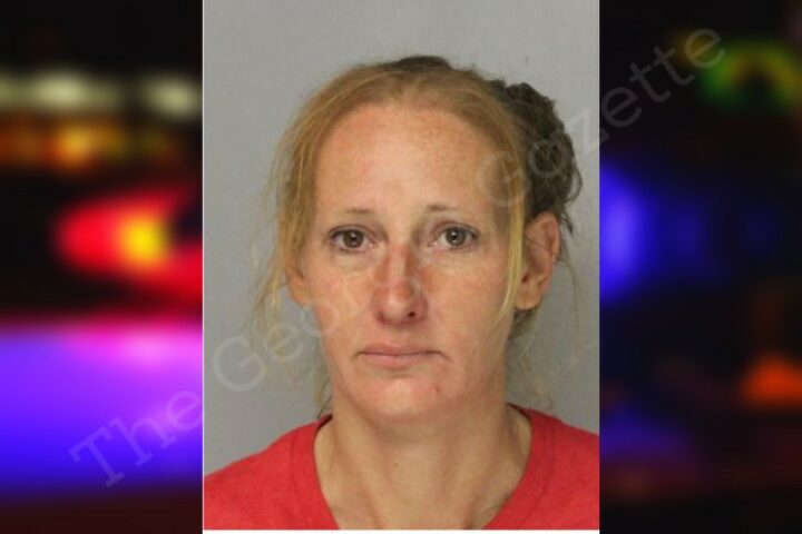 Amber Folsom — Hall County Jail Bookings