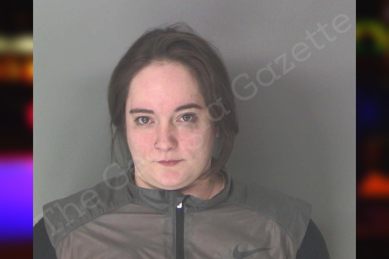 Ashley Friel | Douglas County Jail Bookings