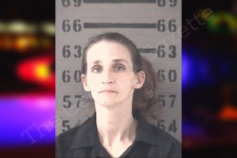 Lacy Fincher — Dougherty County Jail Bookings