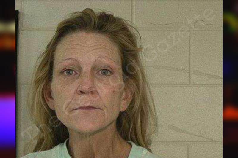 Jennifer Fleck — Liberty County Jail Bookings