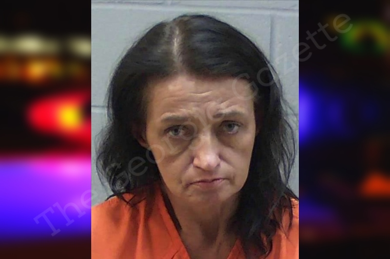 Michelle Ford — Madison County Jail Bookings